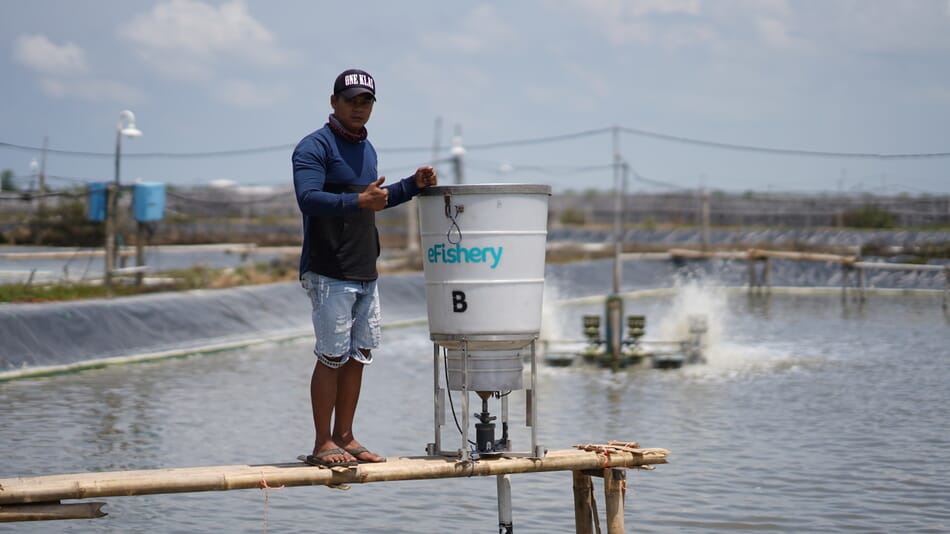eFishery investors face significant losses | The Fish Site