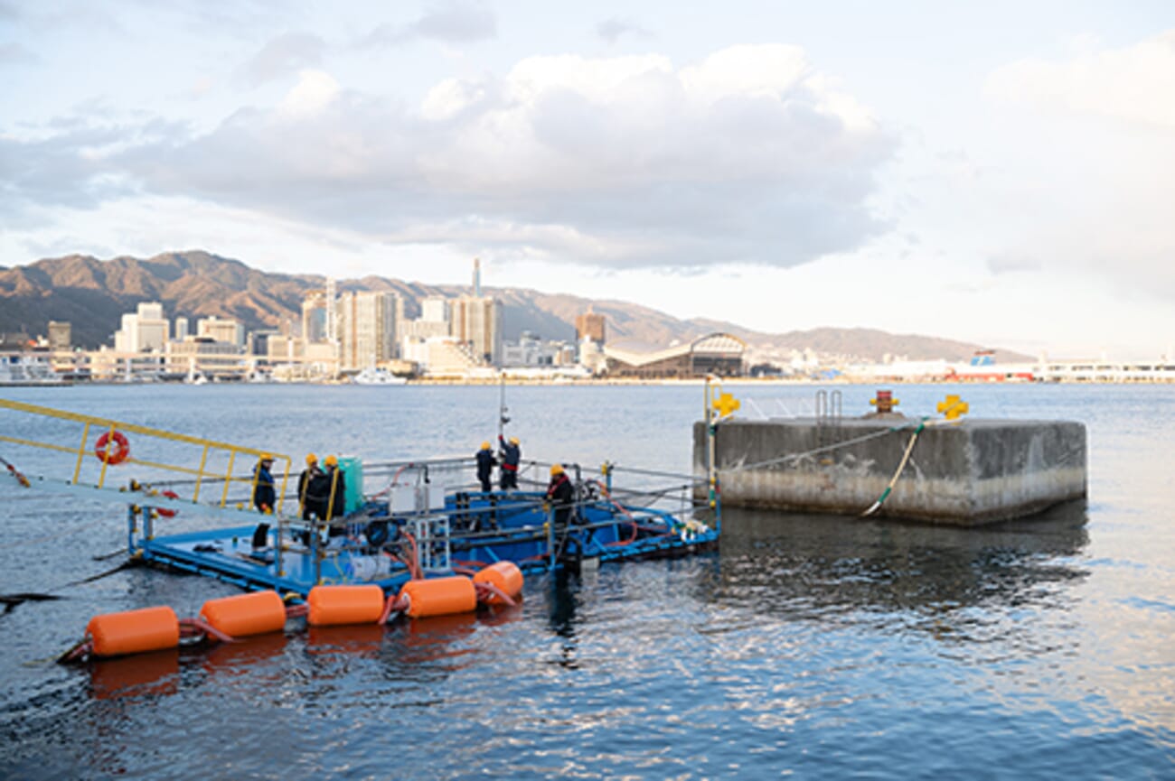 Kawasaki to develop marine trout farm near Kobe | The Fish Site