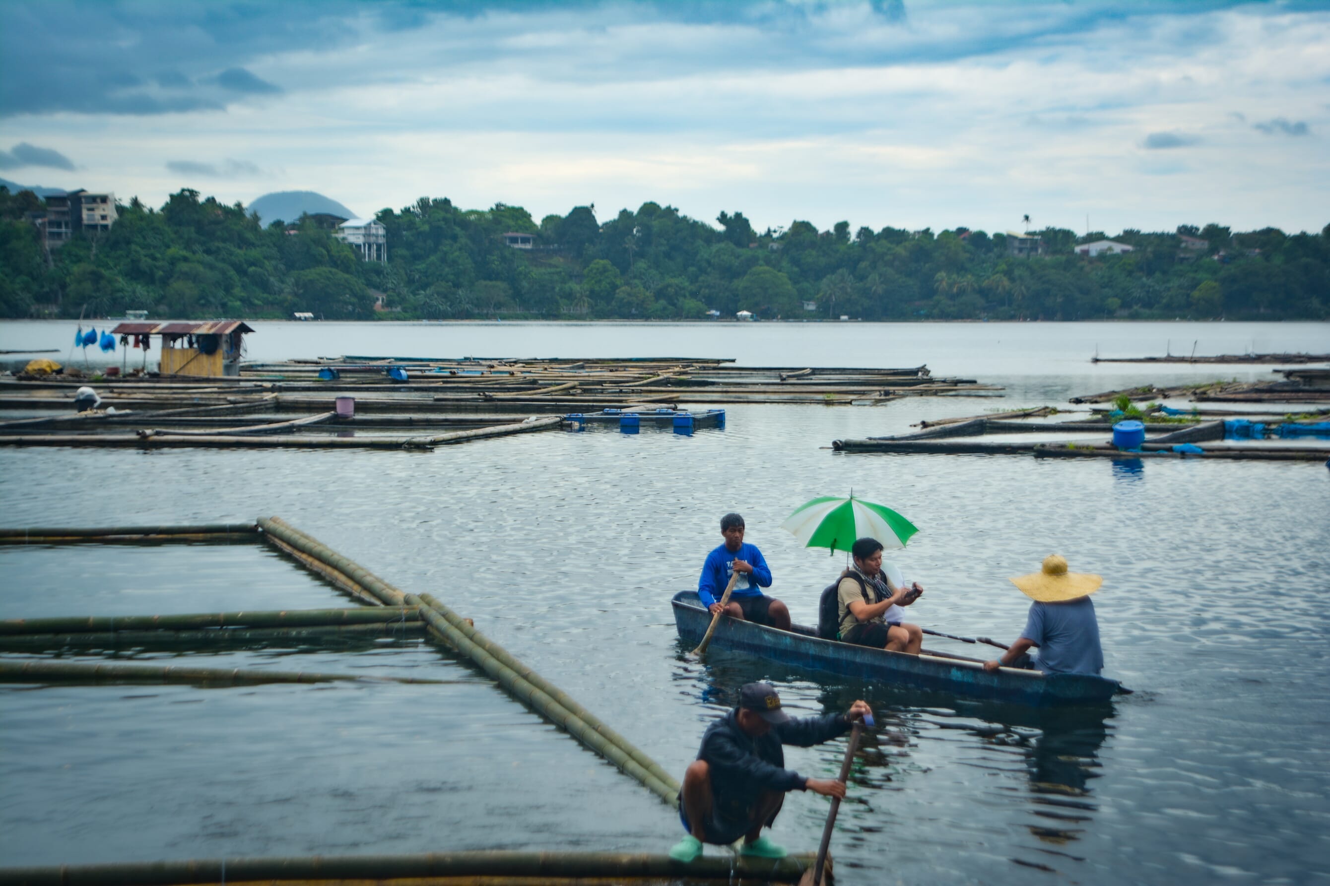 Turning invasive fish into a golden opportunity | The Fish Site