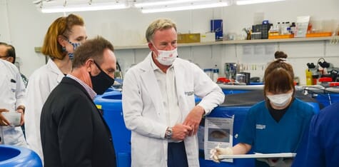 Singapore set for aquaculture genetics and nutrition projects | The ...