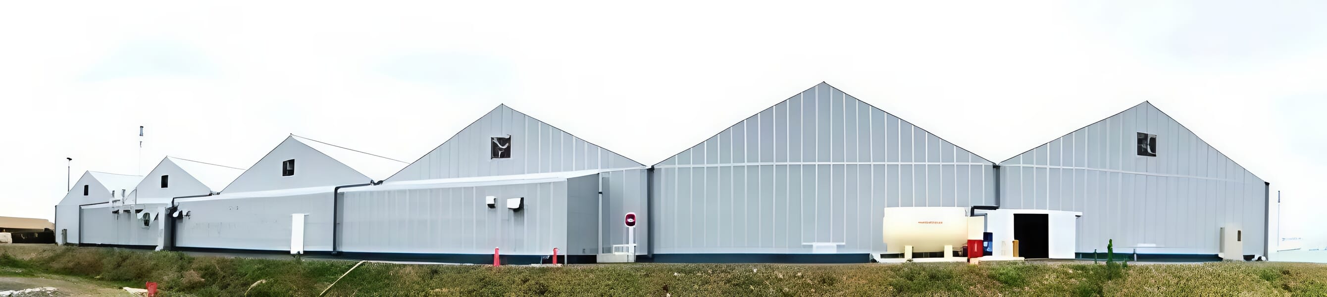 Japanese firms formalise collaboration to expand land-based shrimp farming | The Fish Site