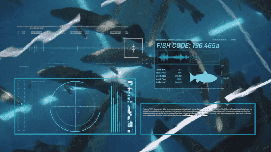 Siemens invests in floating RAS startup | The Fish Site