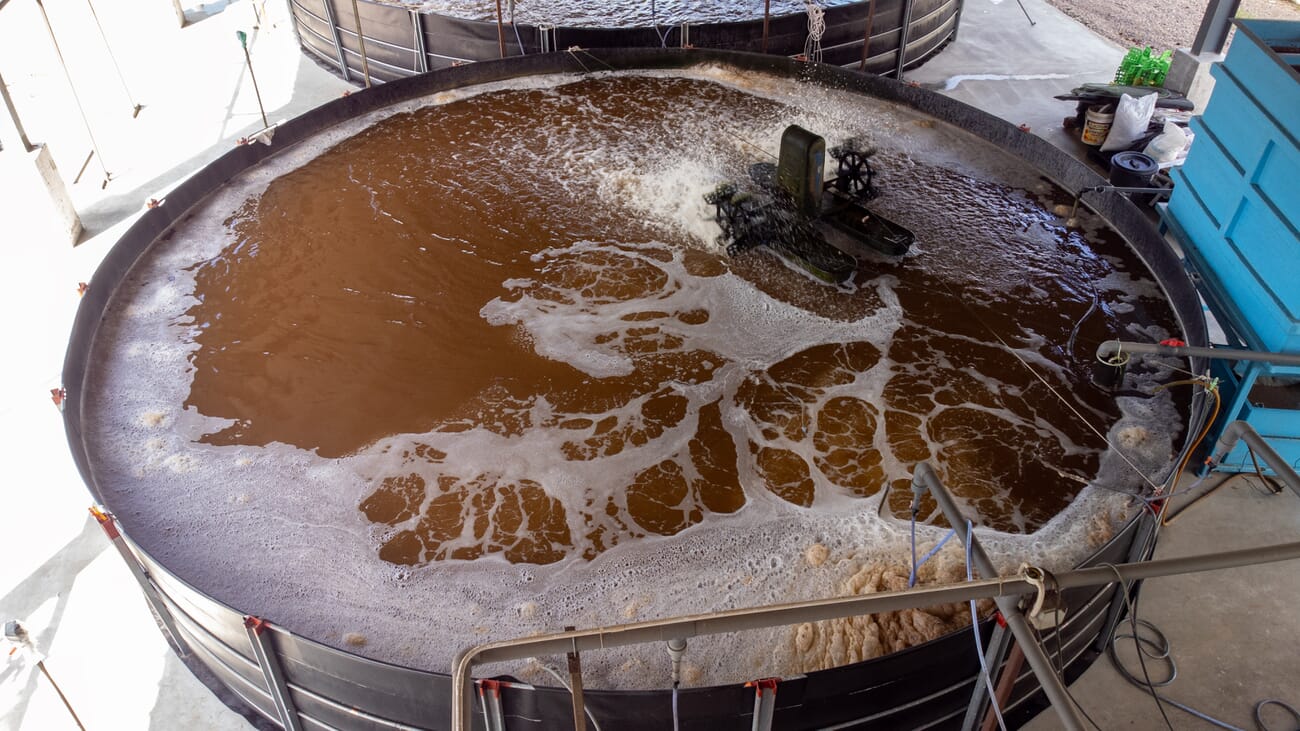 Yit Tung | The Fish Site