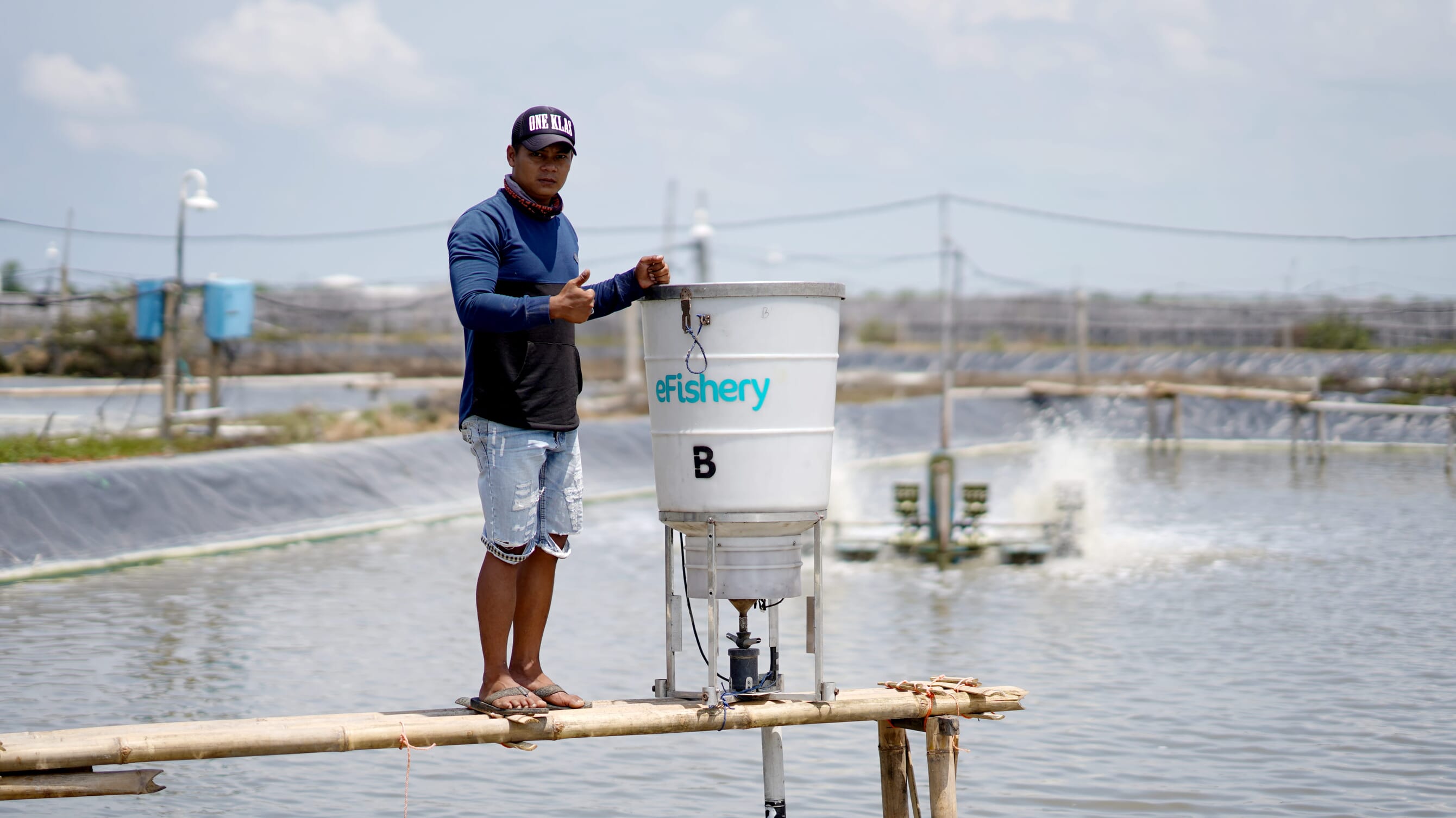 Where has the most venture capital been invested in aquaculture? | The ...