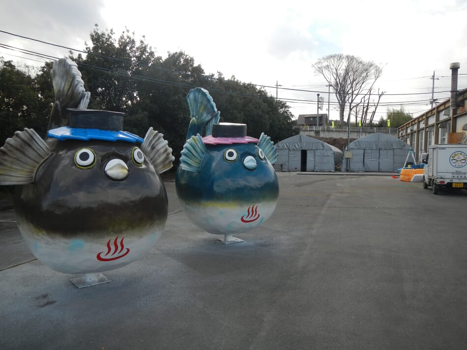 Holy grail or poisoned chalice? Fugu farming in Japan | The Fish Site