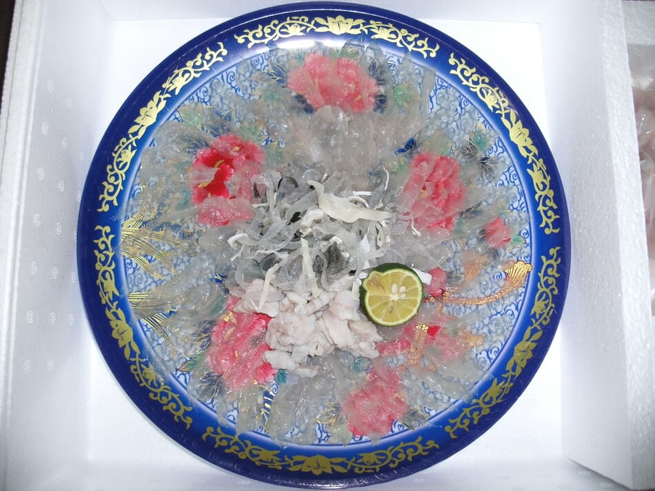 Holy grail or poisoned chalice? Fugu farming in Japan | The Fish Site