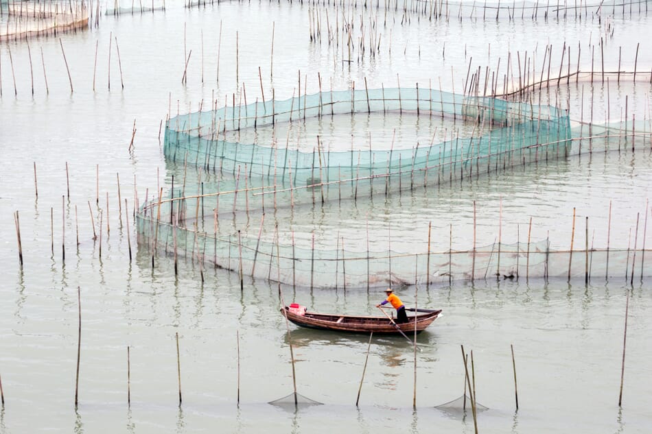 Lessons from China: the home of integrated aquaculture | The Fish Site