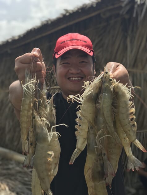 The Loc star of shrimp health | The Fish Site
