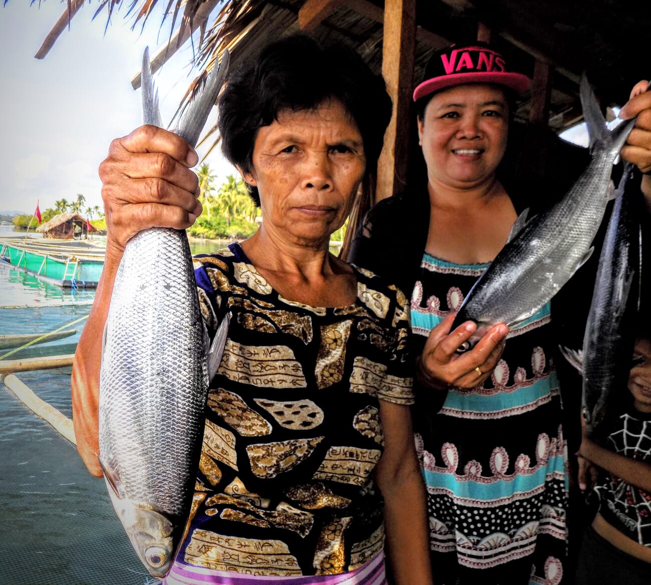 Spotlight on farmed fish welfare in the Philippines | The Fish Site