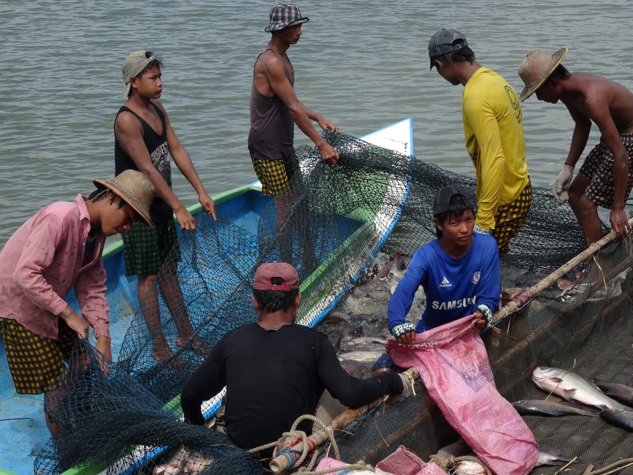 Asian aquaculture: trends for 2019 | The Fish Site
