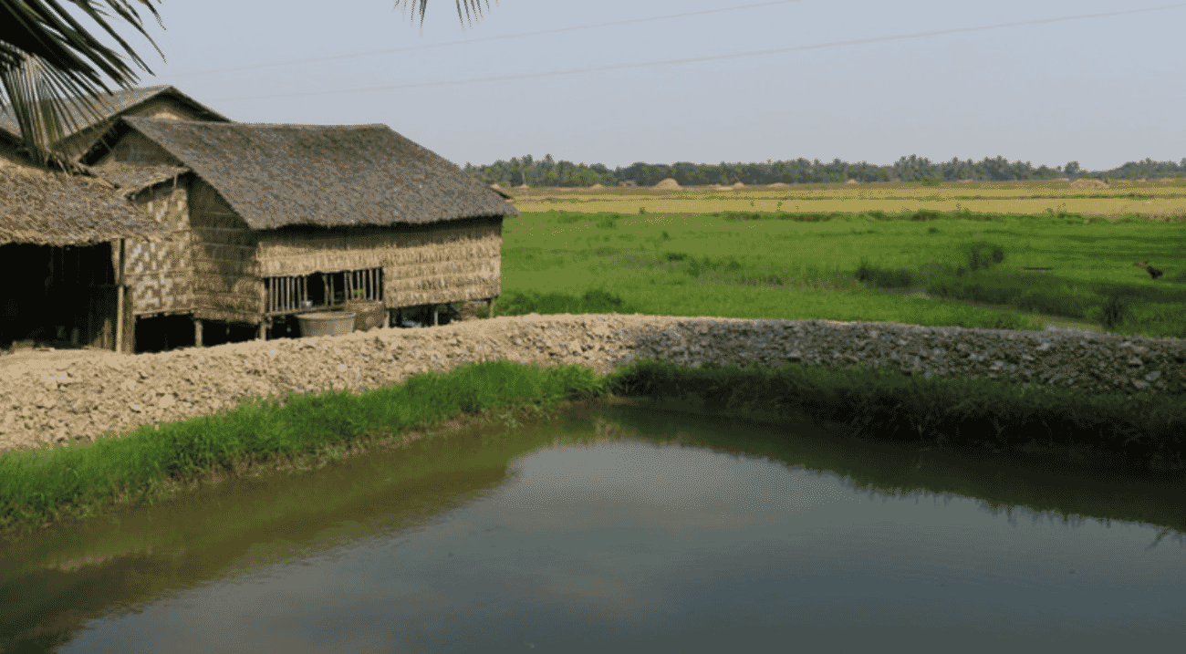 Polyculture project launched in Myanmar | The Fish Site