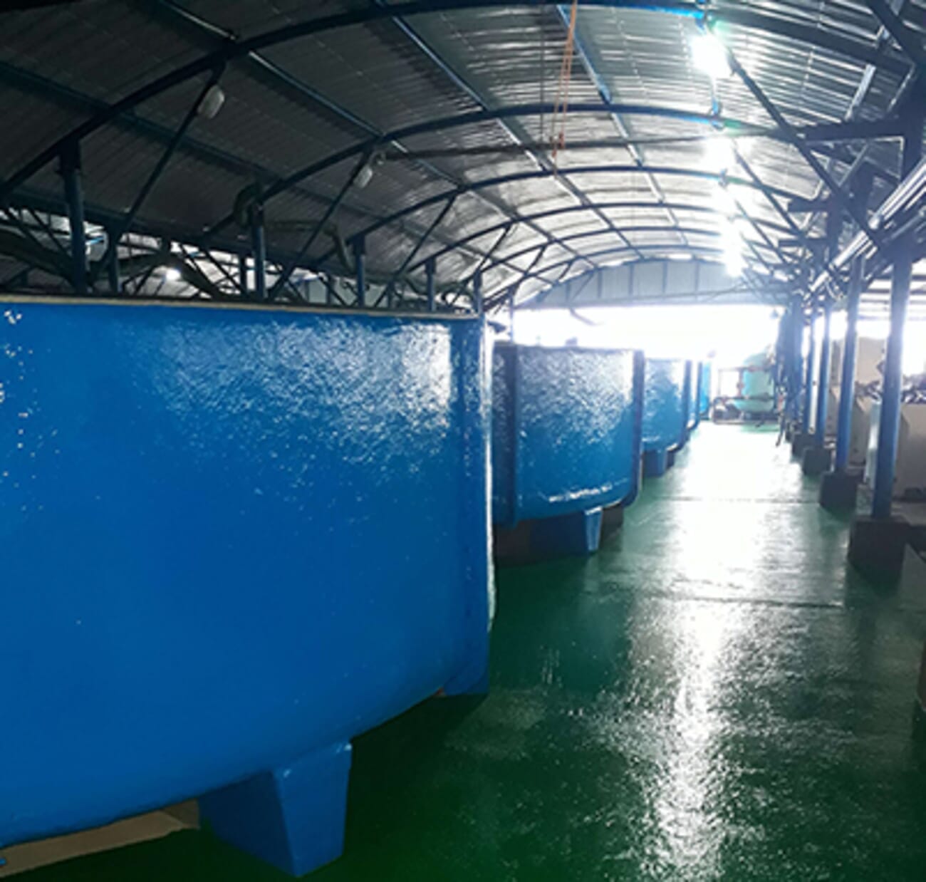 Oceanpick celebrates a decade in Sri Lanka | The Fish Site