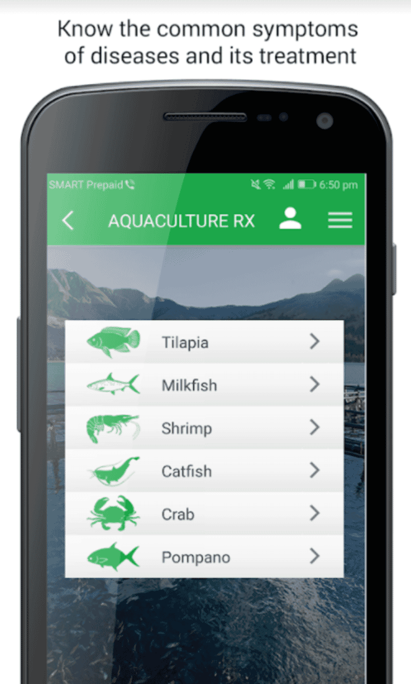 The app that's helping a new generation of Filipino fish and shrimp ...