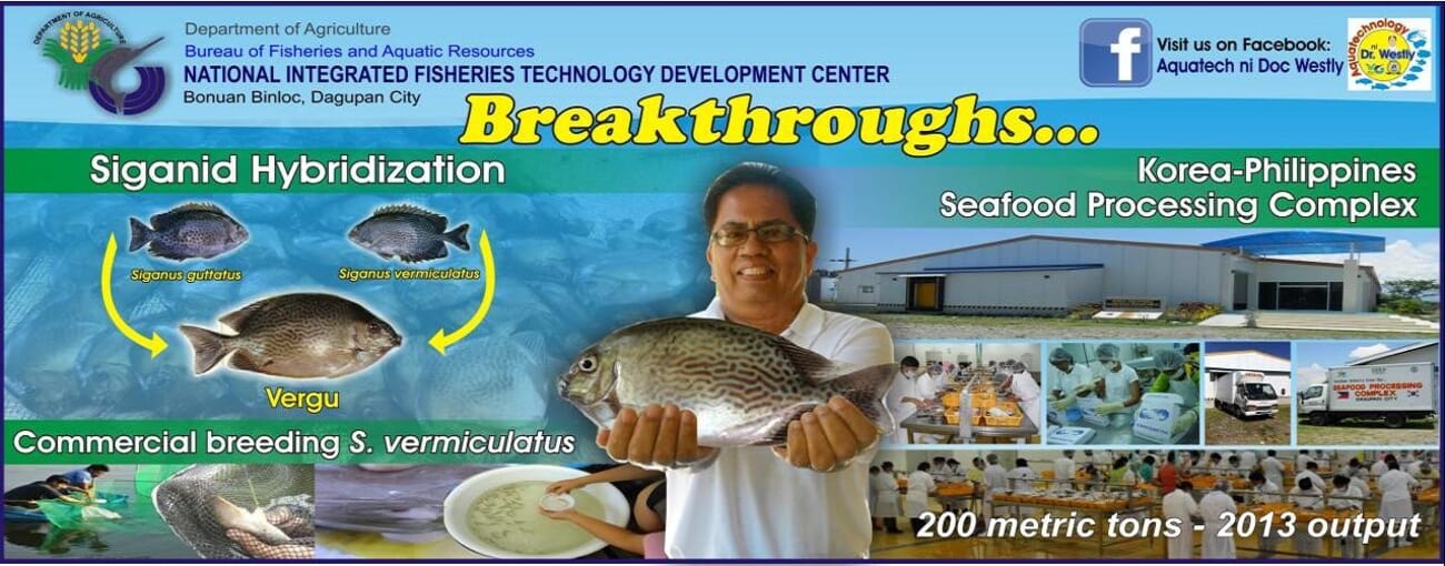 How a Filipino scientist is making headlines by culturing marine ...