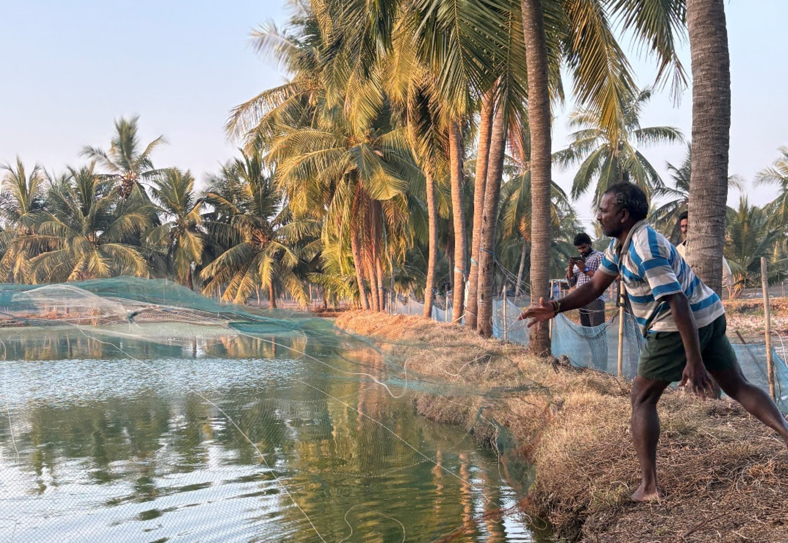 New roadmap launched to scale sustainability in aquaculture | The Fish Site