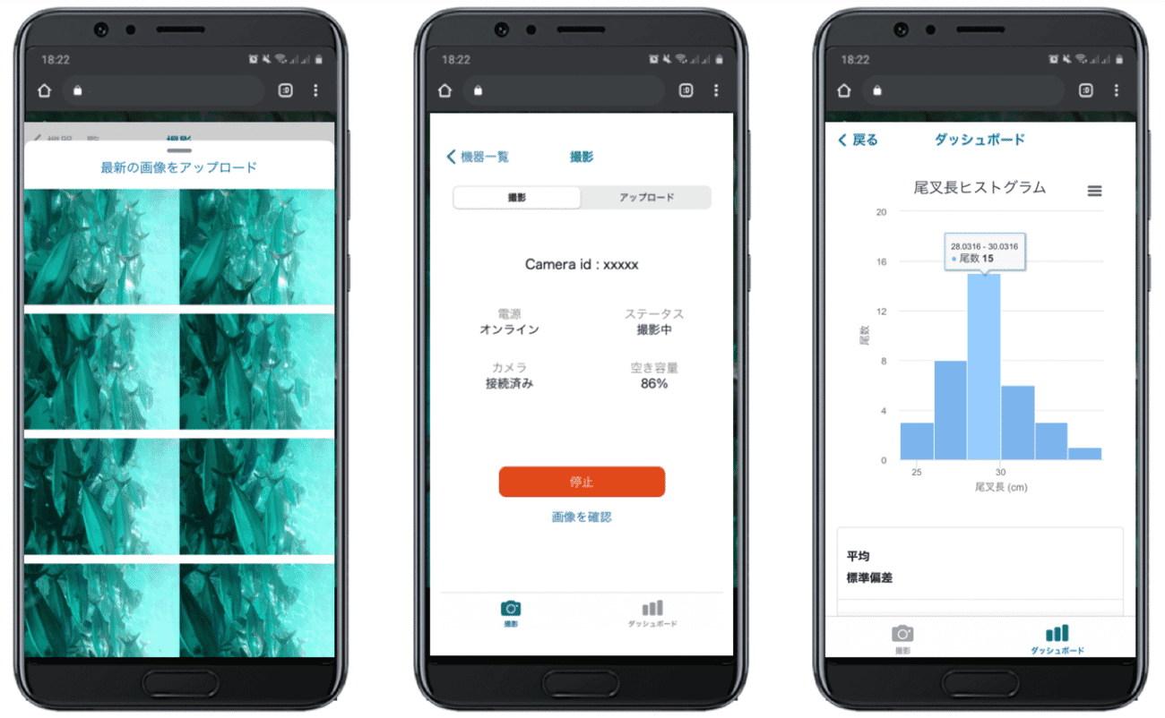 Umitron launches automatic fish measuring system | The Fish Site