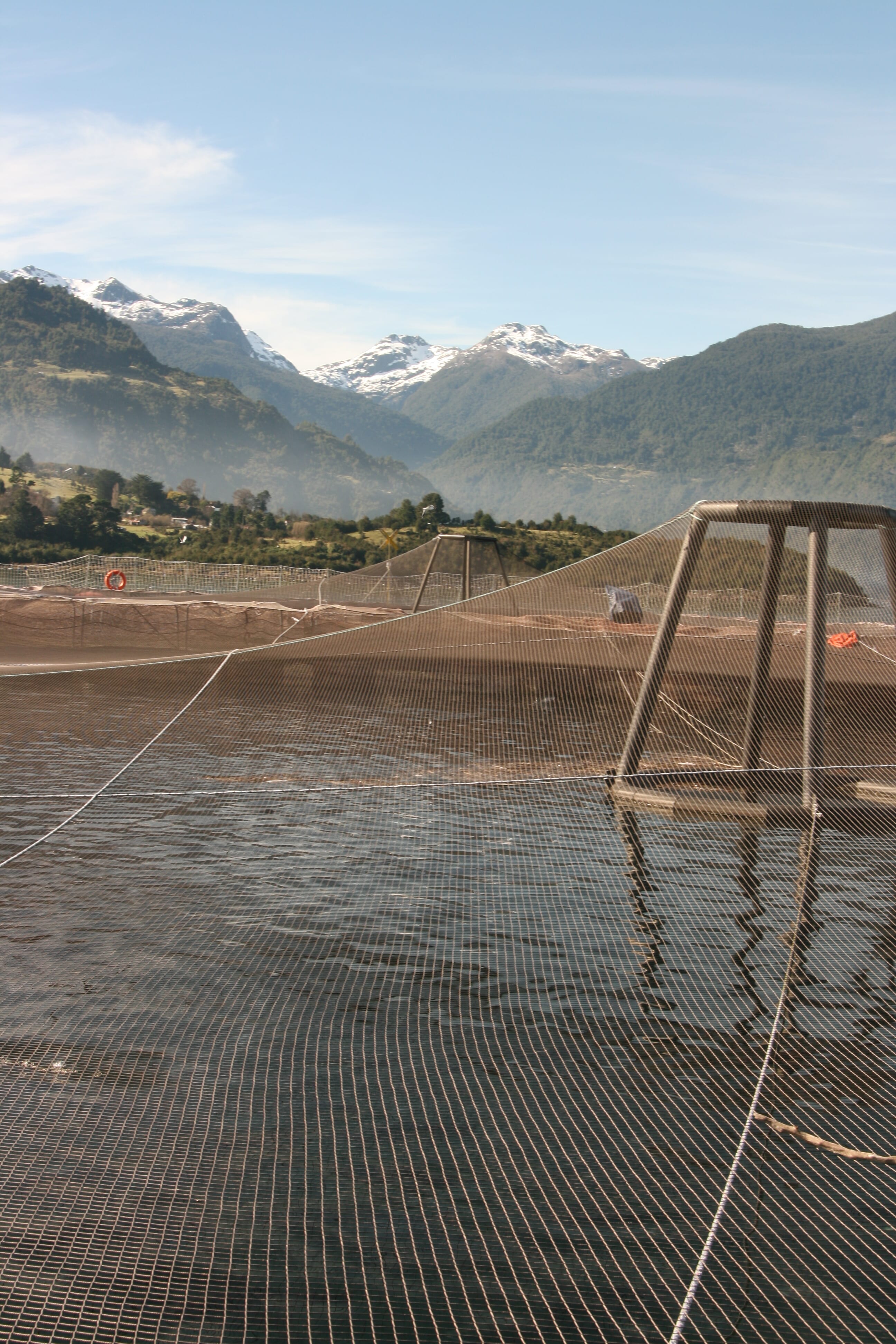 A feat of clay | The Fish Site