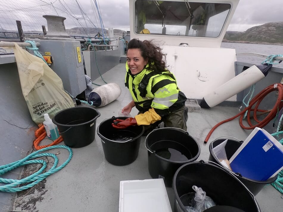 An expert’s take on lumpfish research | The Fish Site