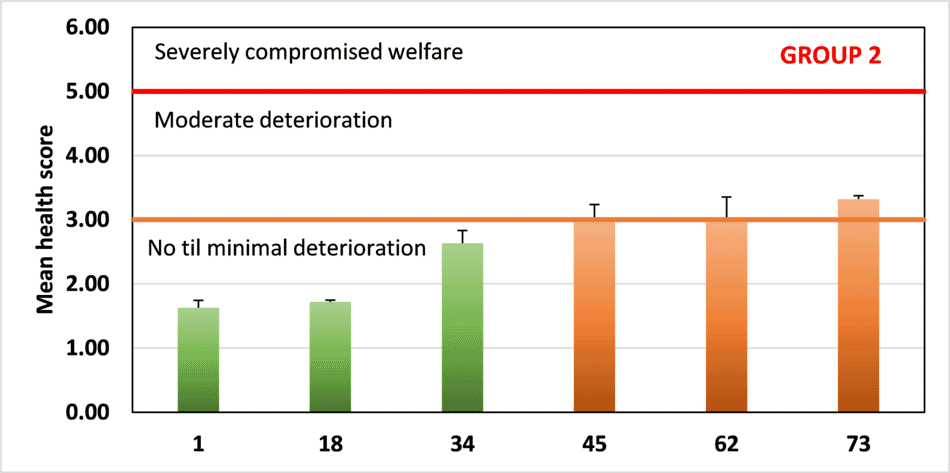 A novel means to improve lumpfish welfare | The Fish Site