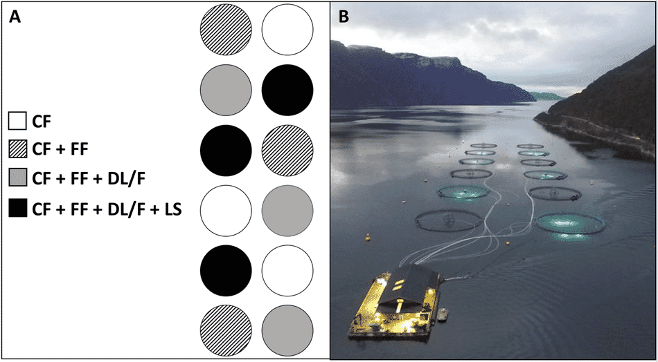 Deep concerns over cleaner fish strategy | The Fish Site