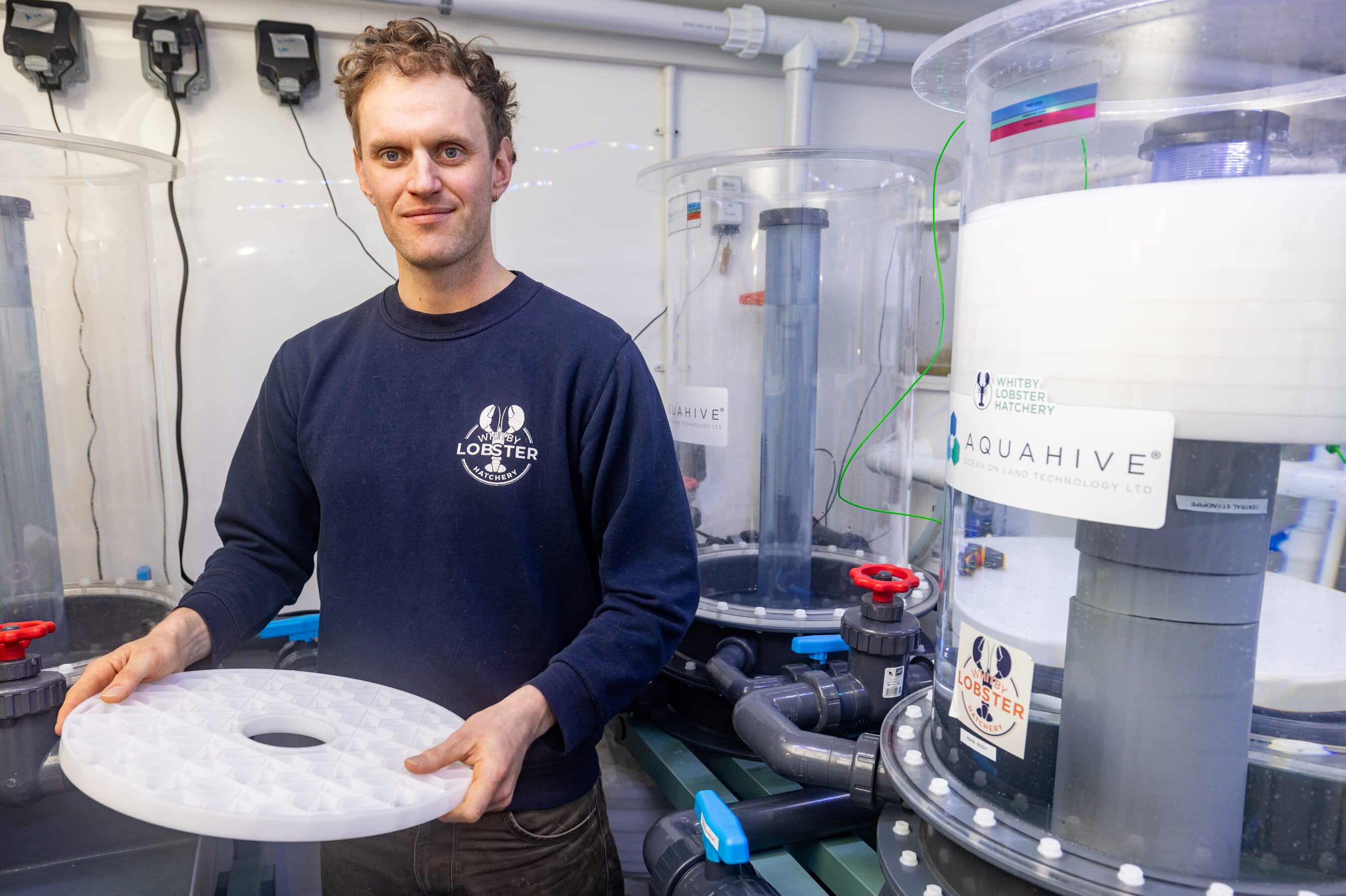 The lobster hatchery that aims to revive the fortunes of a famous ...