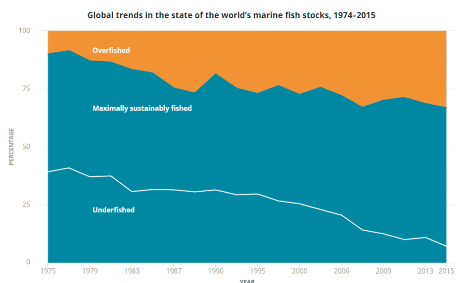 FAO biannual report lauds aquaculture's role in meeting growing demand ...