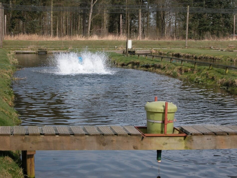How China is applying ecological engineering techniques in pond ...