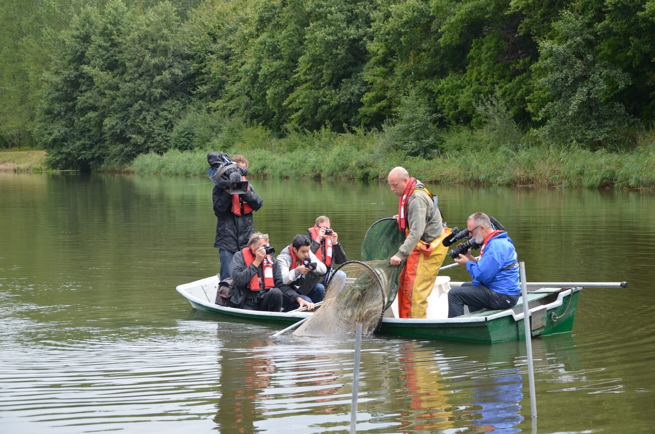 The real eel: a guide to eel farming | The Fish Site