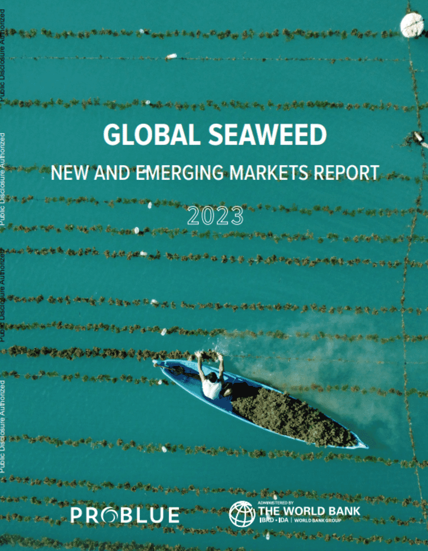 The 10 most promising emerging applications for seaweed | The Fish Site