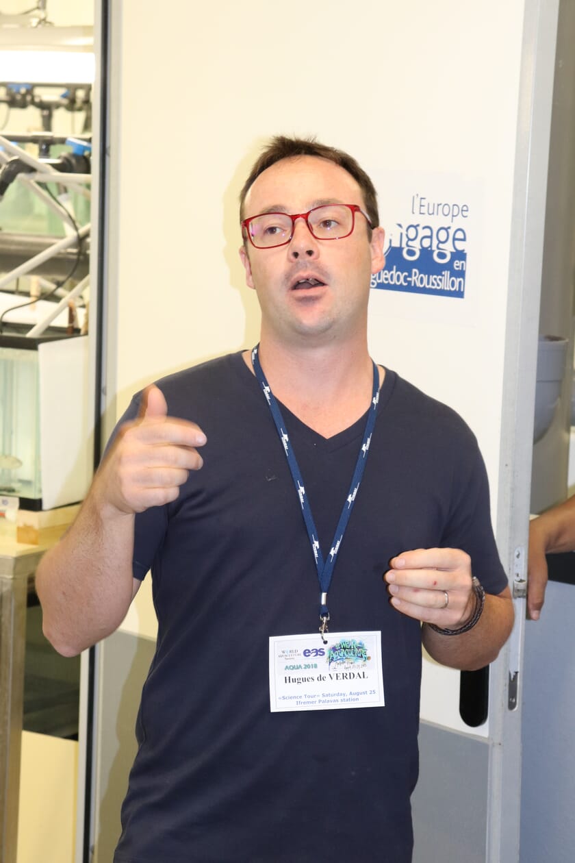 Geneticist plans tilapia feed efficiency gains | The Fish Site