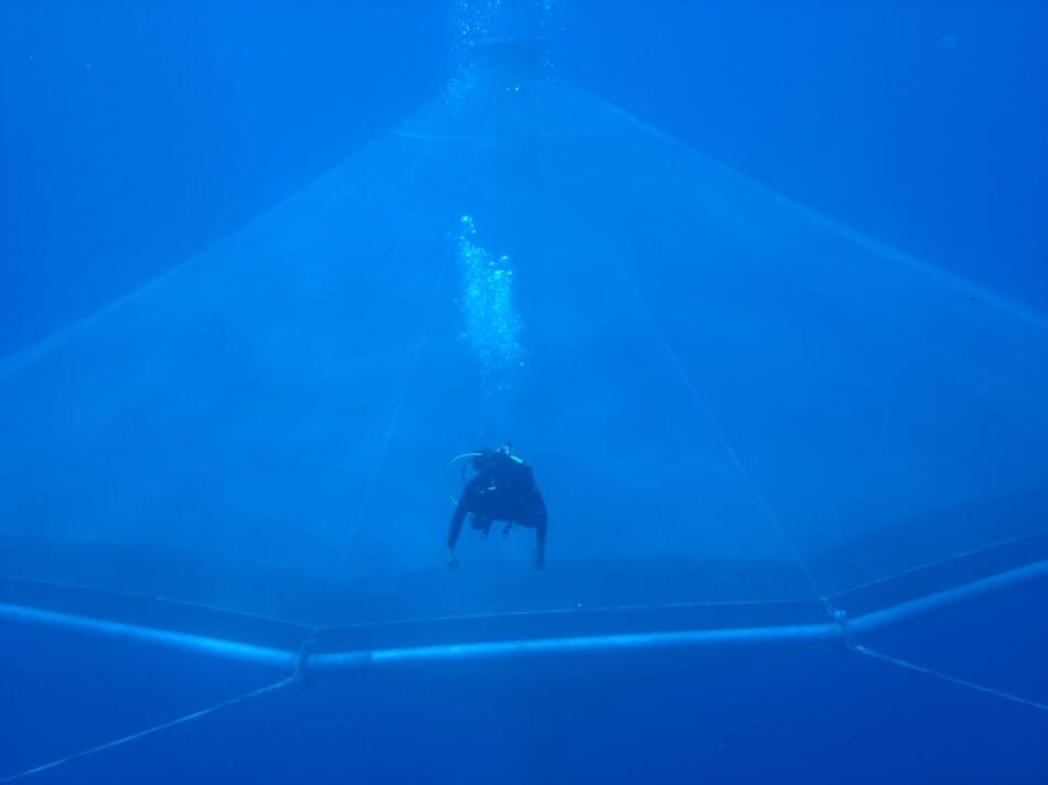 Cobia farm nets ASC accreditation | The Fish Site