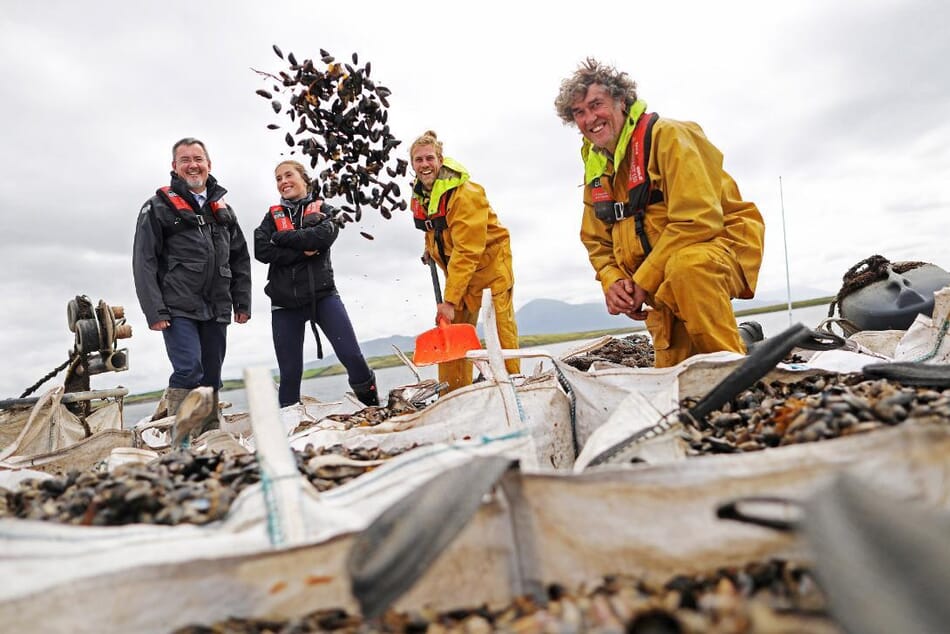 Ireland’s shellfish production areas classified in annual publication ...