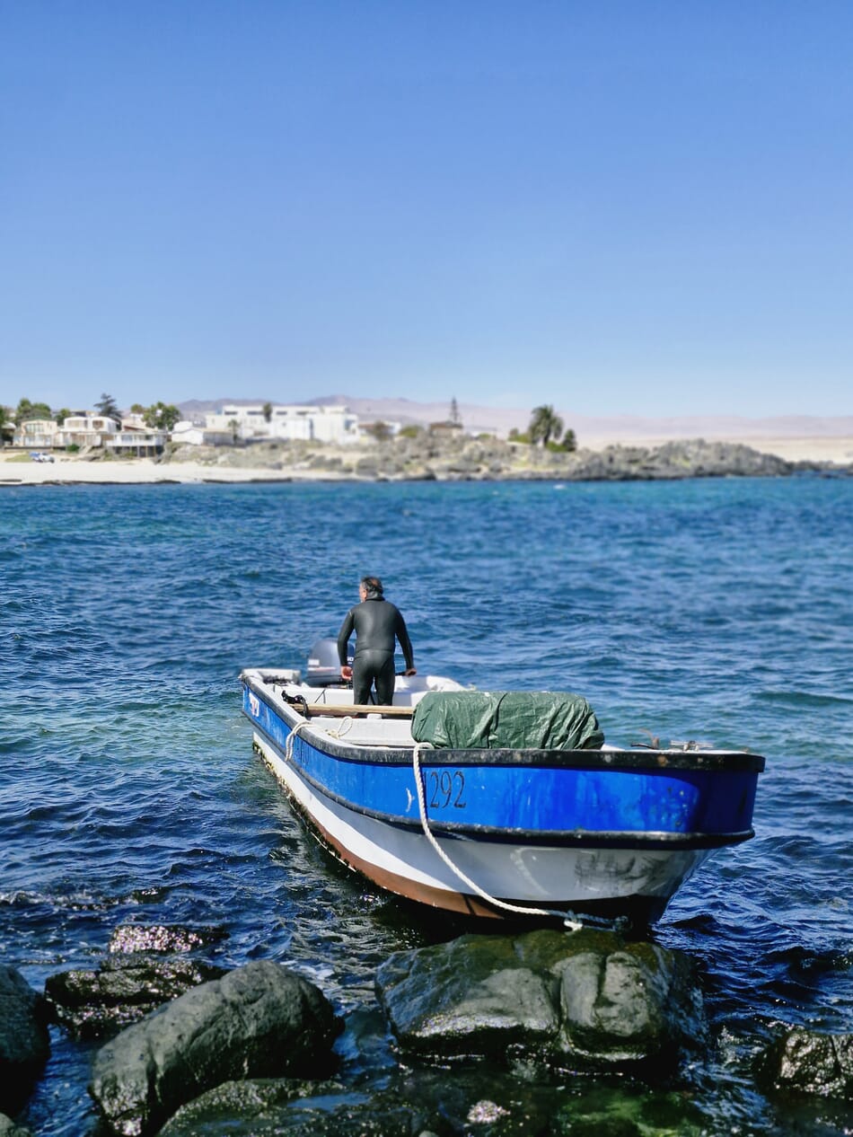 The couple at the heart of northern Chile's seaweed revival | The Fish Site