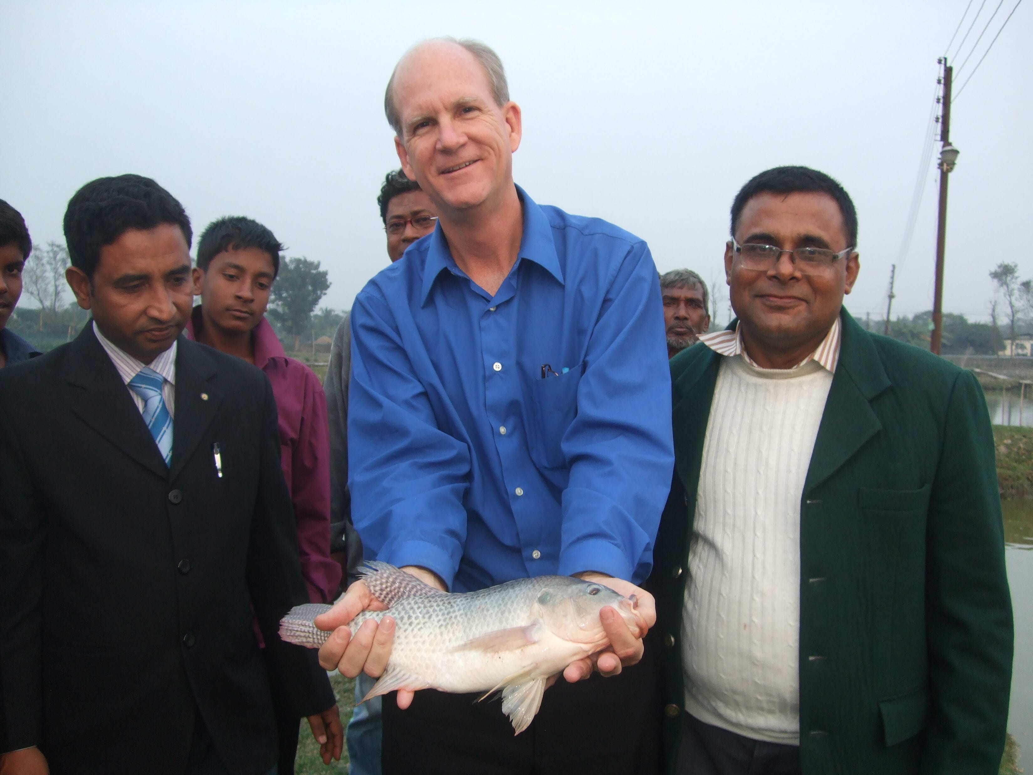 The pros and cons of biofloc | The Fish Site