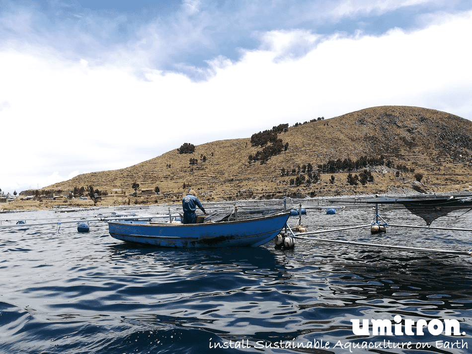 Feed system secures $2 million funding | The Fish Site