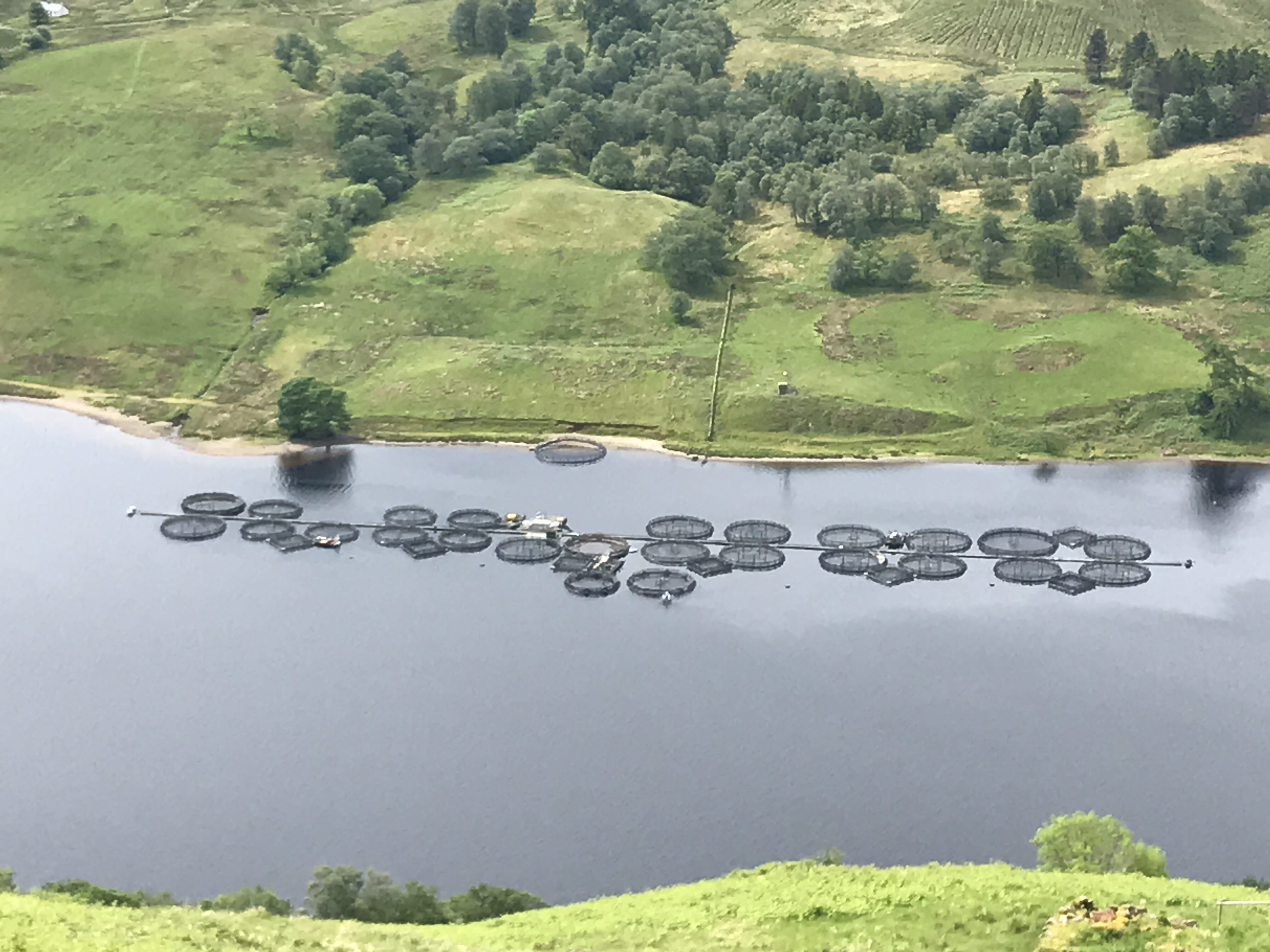 Economic impact of Scottish aquaculture revealed | The Fish Site