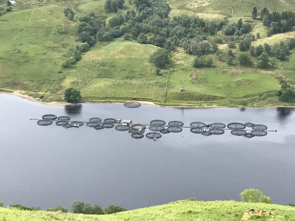 Economic impact of Scottish aquaculture revealed | The Fish Site