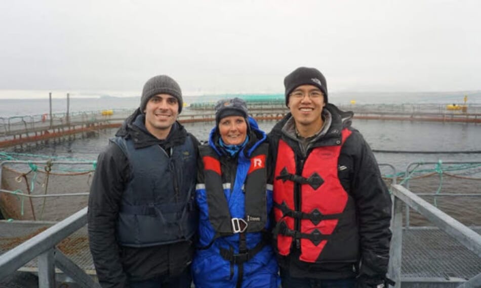 Fish and chips: how computer analytics can transform aquaculture | The ...