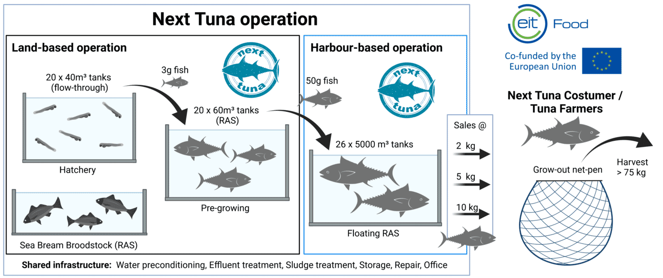 Could an innovative, floating RAS catalyse Atlantic bluefin tuna ...