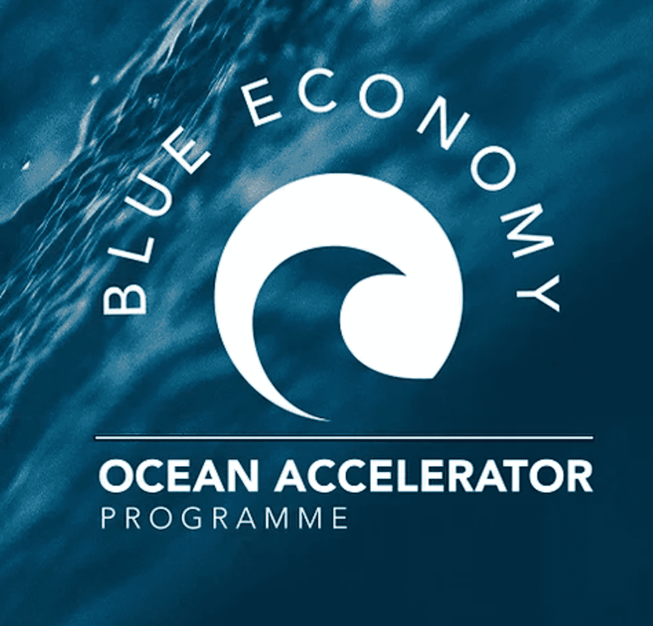 Applications are open for the Blue Economy Ocean Accelerator | The Fish ...