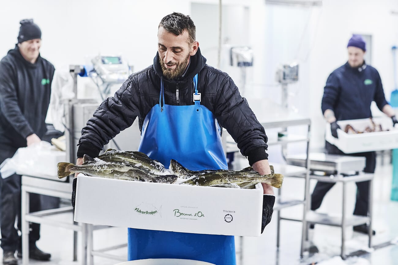 Fresh hope for commercial cod farming | The Fish Site
