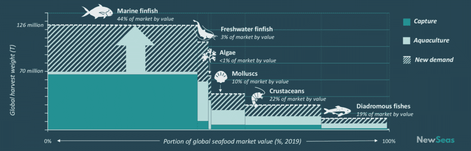 Are aquaculture’s gold rush investors digging in the wrong creek? | The ...