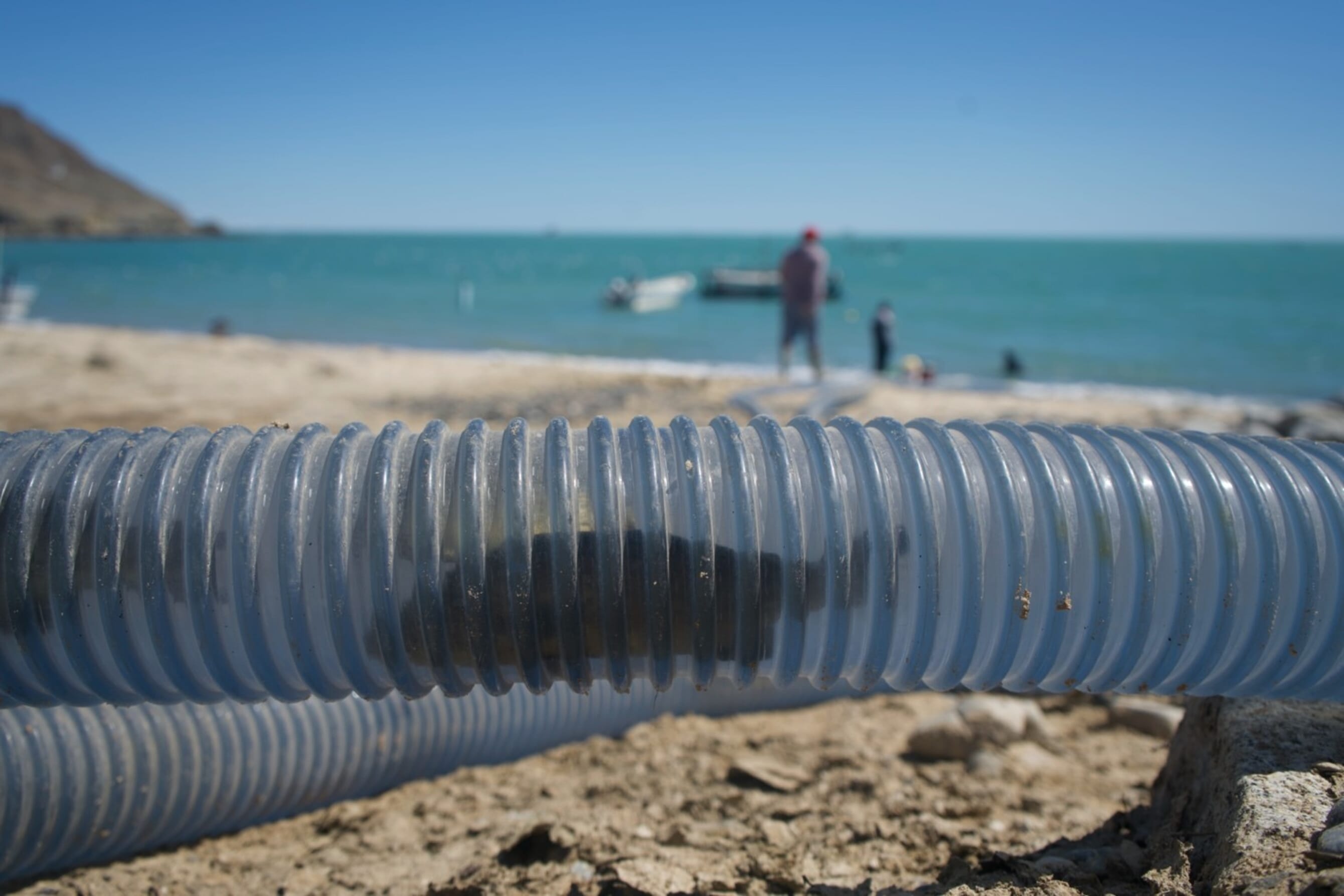 Can aquaculture save a species from extinction? | The Fish Site