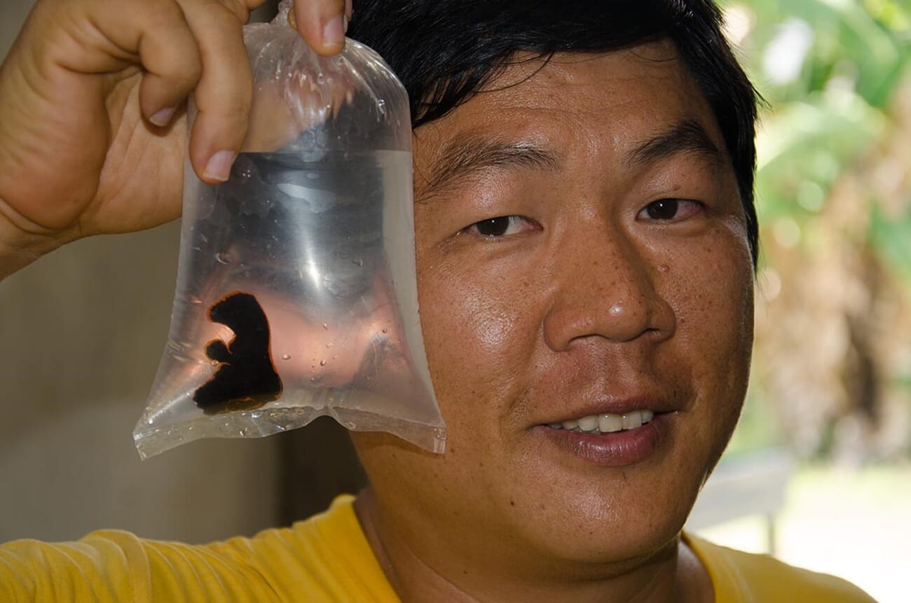 Culturing marine ornamentals: a $5 billion opportunity | The Fish Site