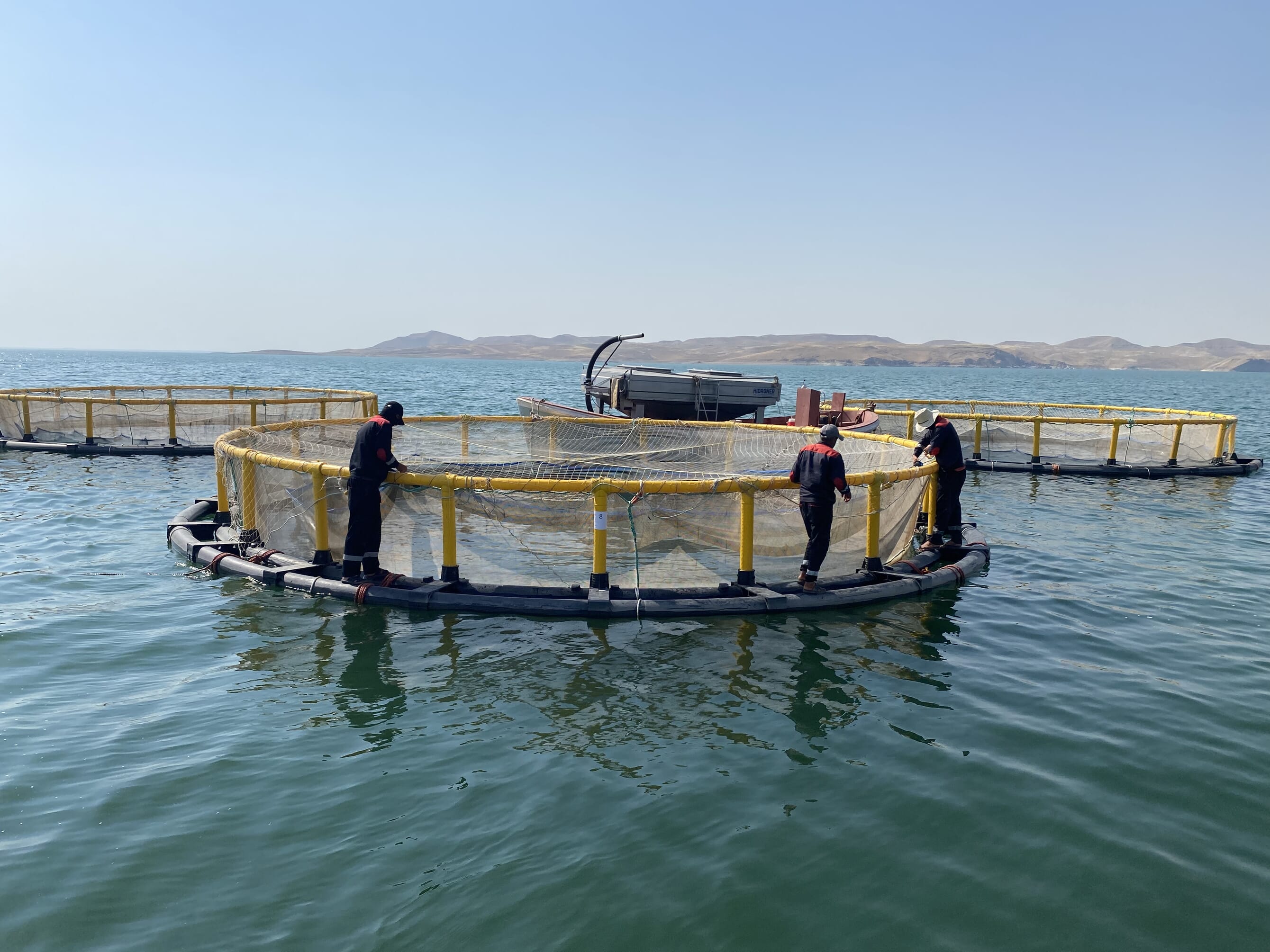 Can aquaculture help provide a more stable future for Iraq? | The Fish Site