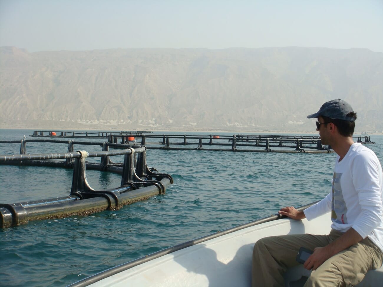 Iranian aquaculture expansion threatens coral reefs | The Fish Site