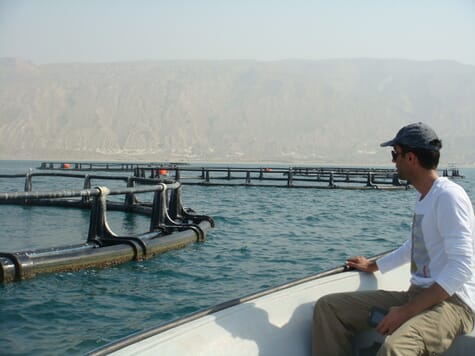 Iranian aquaculture expansion threatens coral reefs | The Fish Site