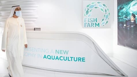 Dubai's aquaculture success story: Fish Farms LLC | The Fish Site