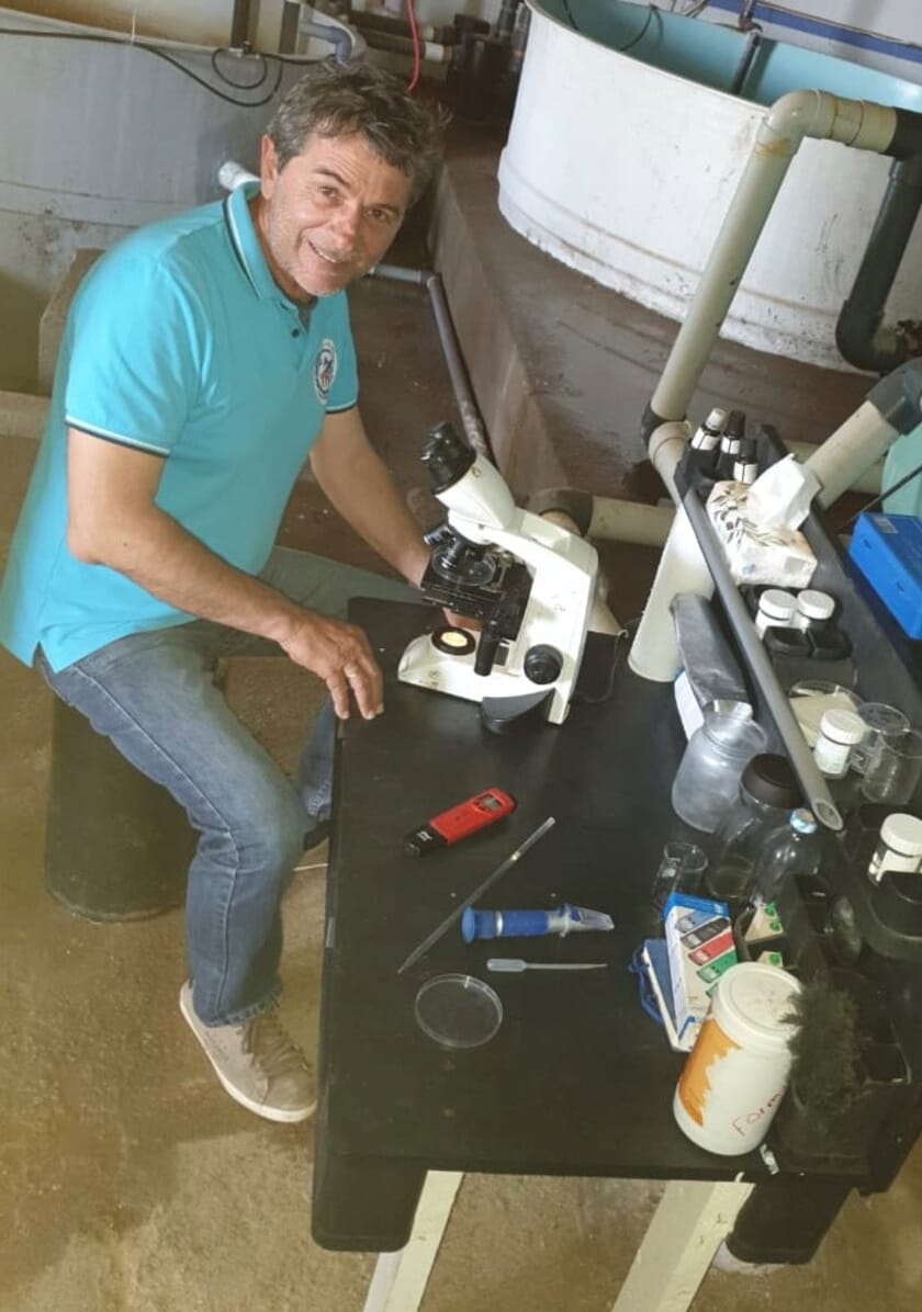 Major milestone for Saudi Arabian native bream reproduction | The Fish Site