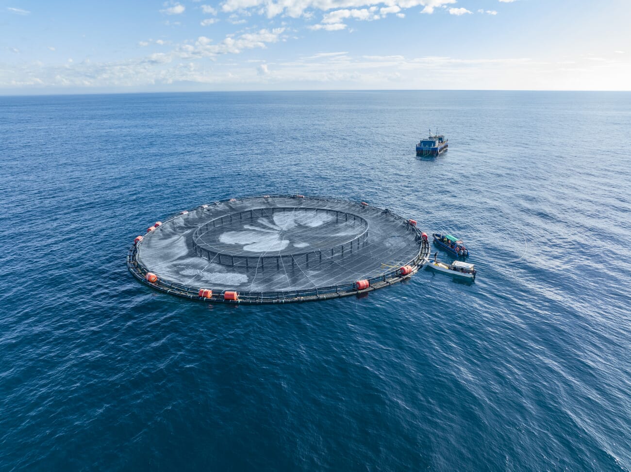 Offshore farmer reveals global seafood ambitions | The Fish Site